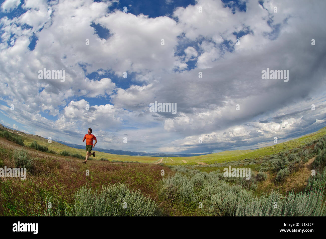 Man trail running near Ten Sleep, Wyoming. USA Stock Photo - Alamy