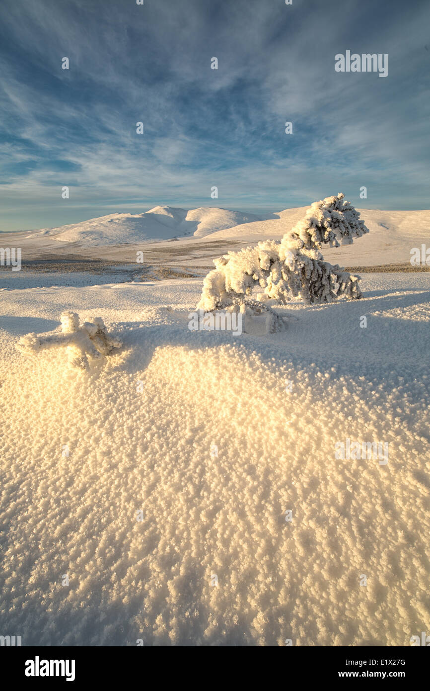 Canada tundra sun hi-res stock photography and images - Alamy