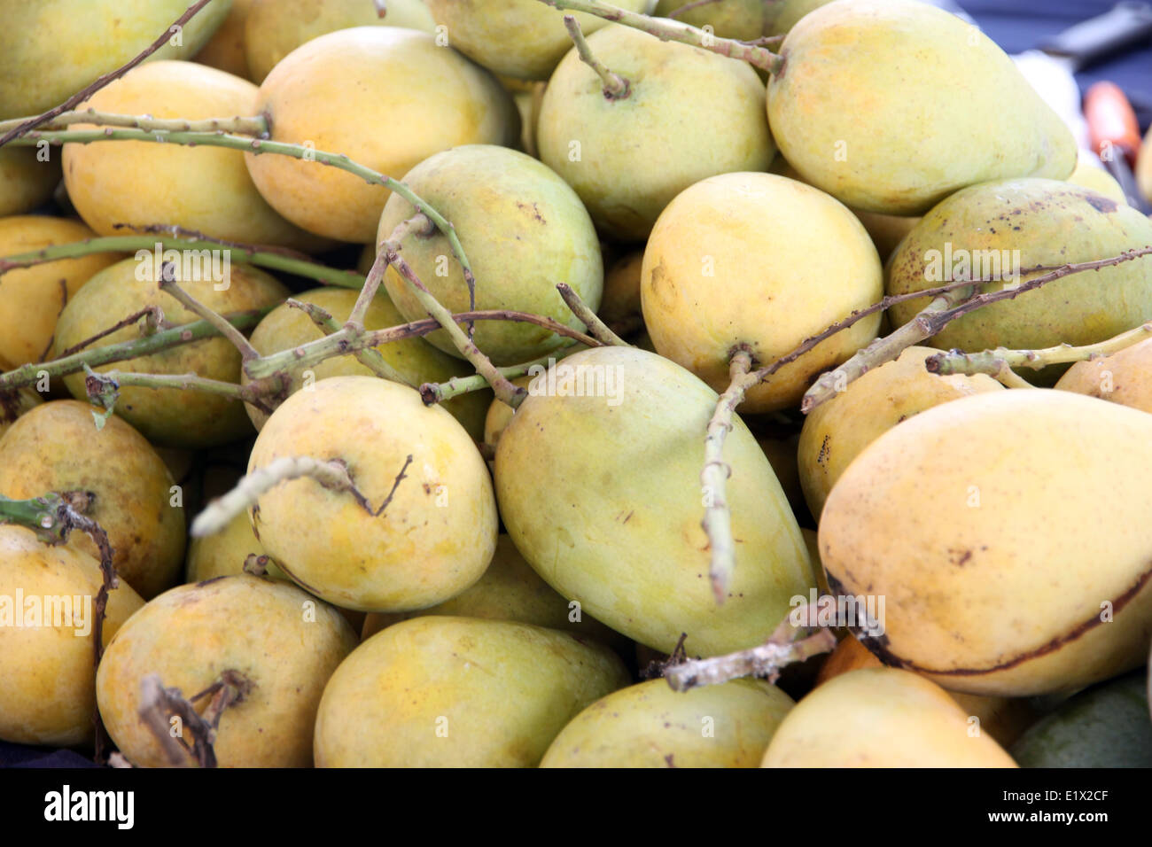 Ripe yellow mangoes in the fruit market for background Stock Photo - Alamy