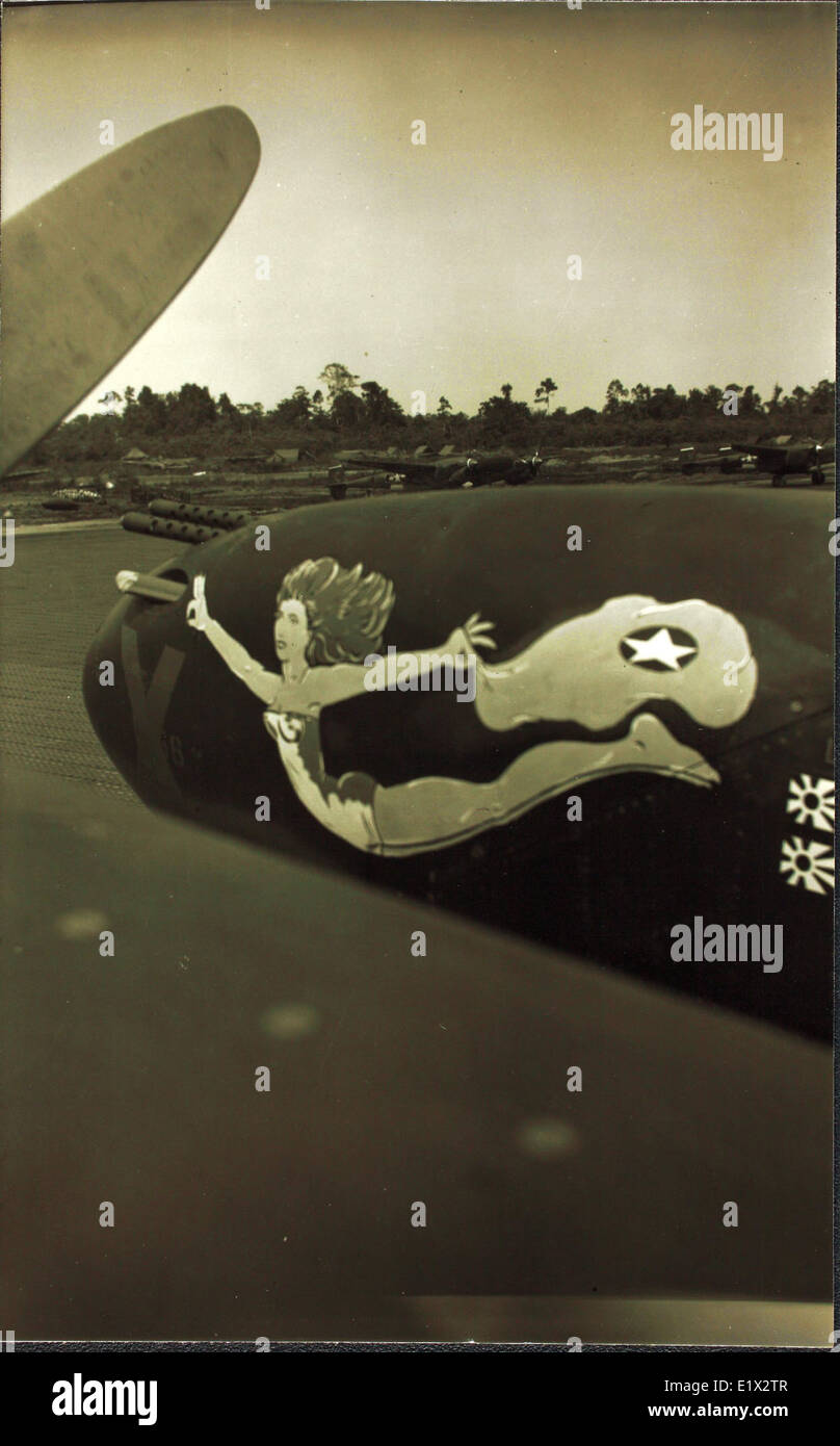 The P-38J Lightning of the 80th Fighter Squadron 'Headhunters' was a ...