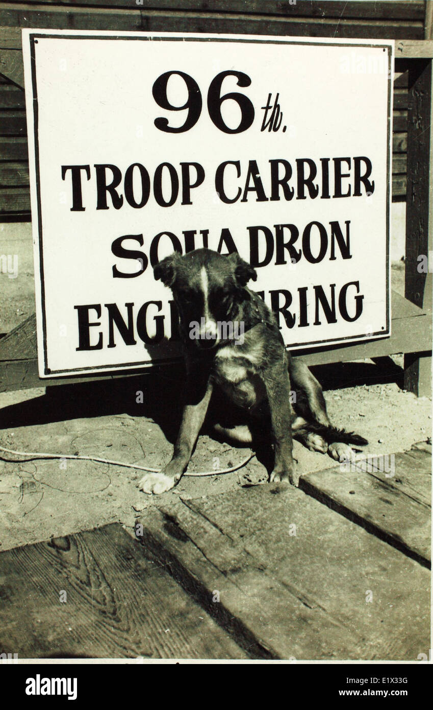 The 96th Troop Carrier Squadron operated from 1941 to 1945, providing ...