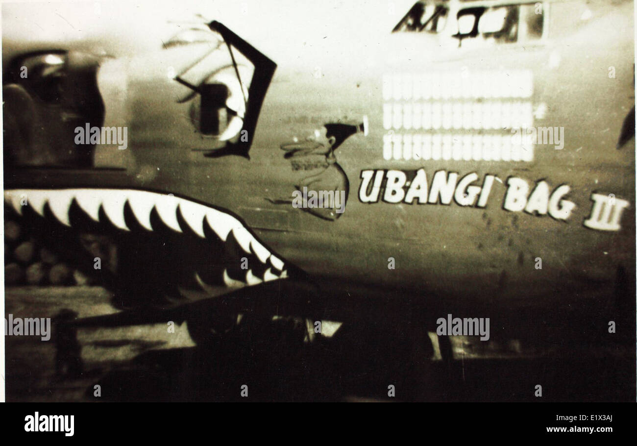 This image depicts the 308th Bomb Group of the 14th Air Force ...