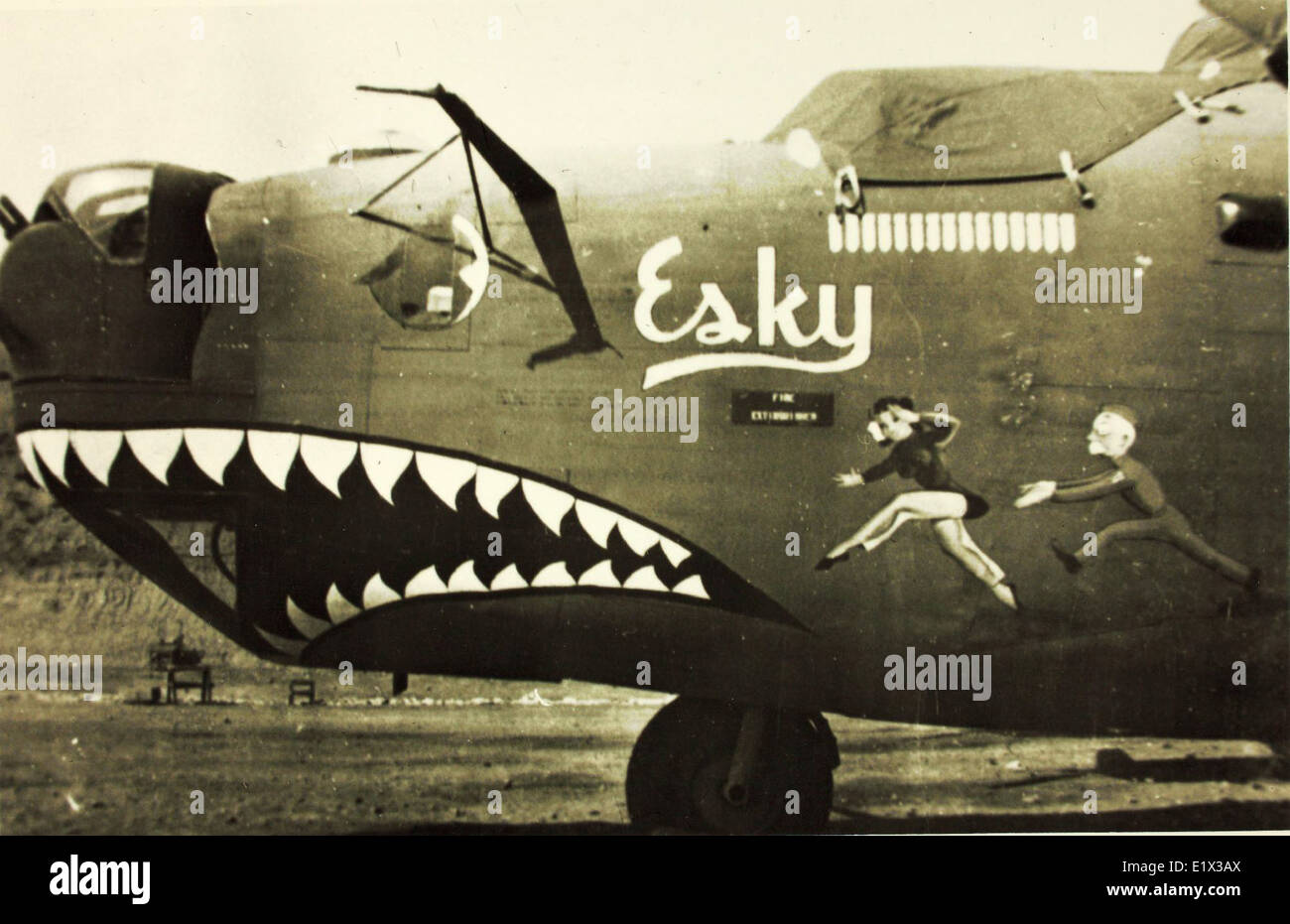 308th Bomb Group, 14th Air Force, B-24 Liberator Stock Photo - Alamy