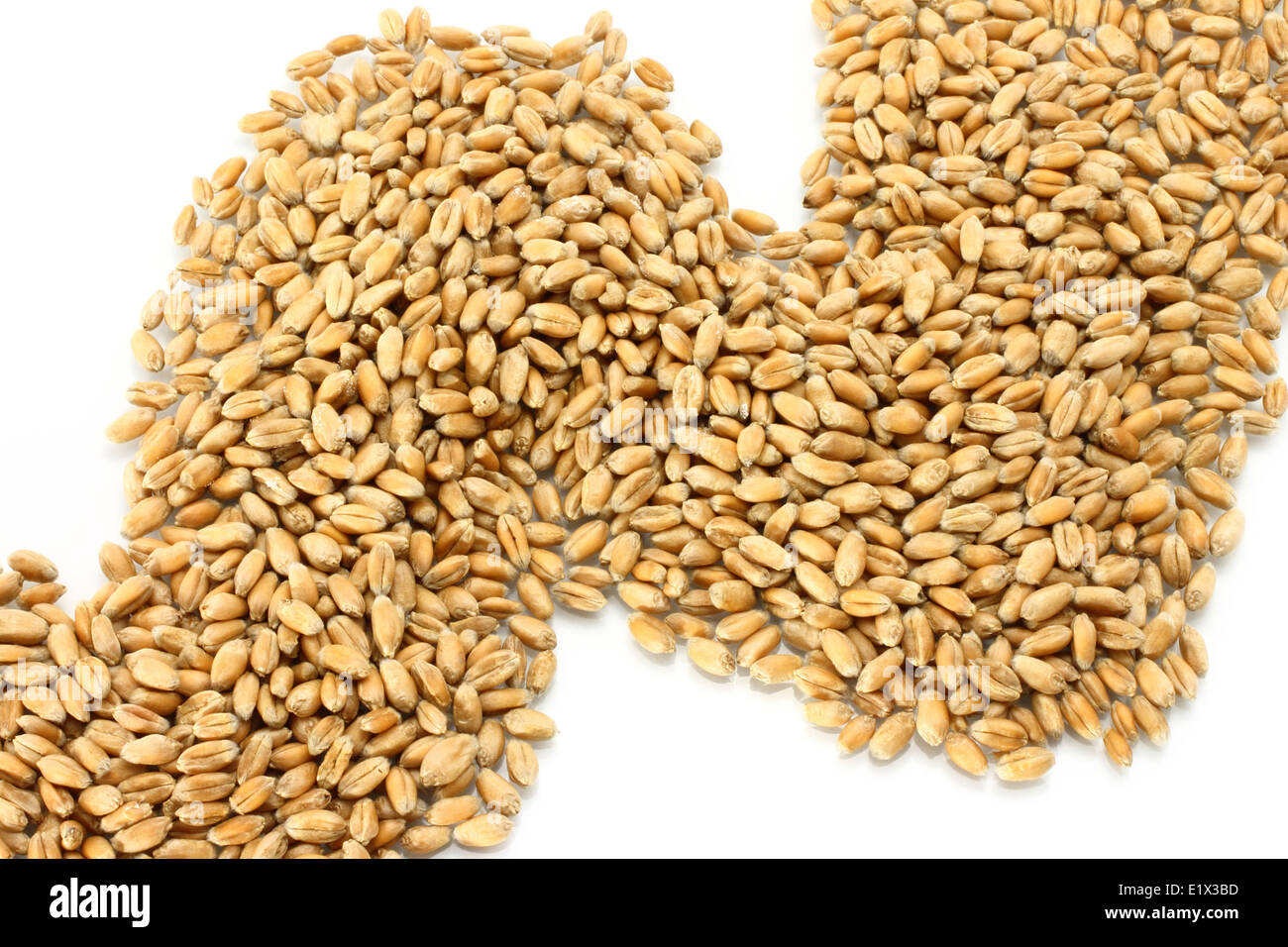 Wheat path on a white background Stock Photo - Alamy