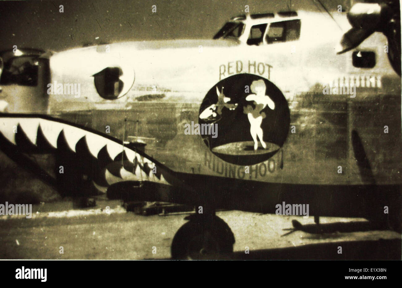 The 308th Bomb Group of the 14th Air Force flew B-24 Liberators during ...