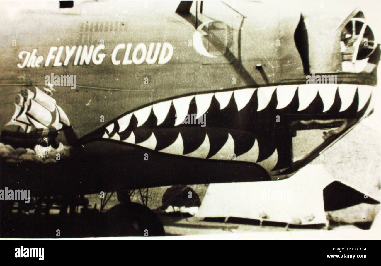 308th Bomb Group, 14th Air Force, B-24 Liberator Stock Photo - Alamy