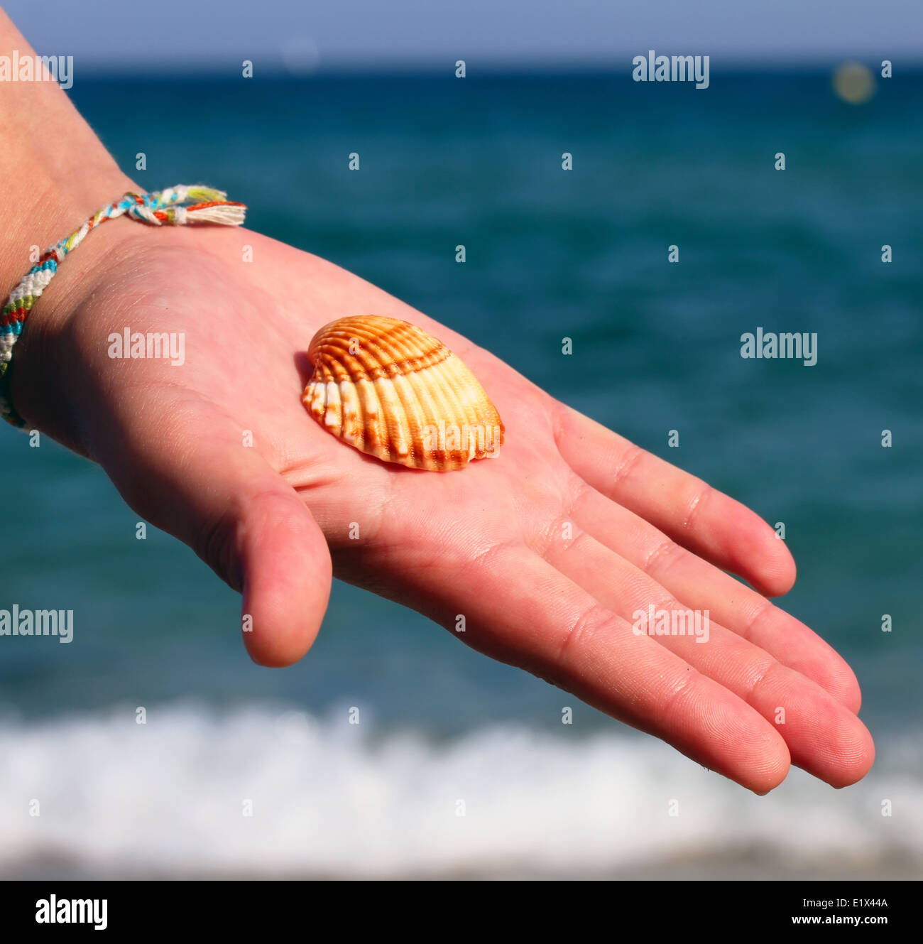 Hand holding oyster shell hi-res stock photography and images - Alamy