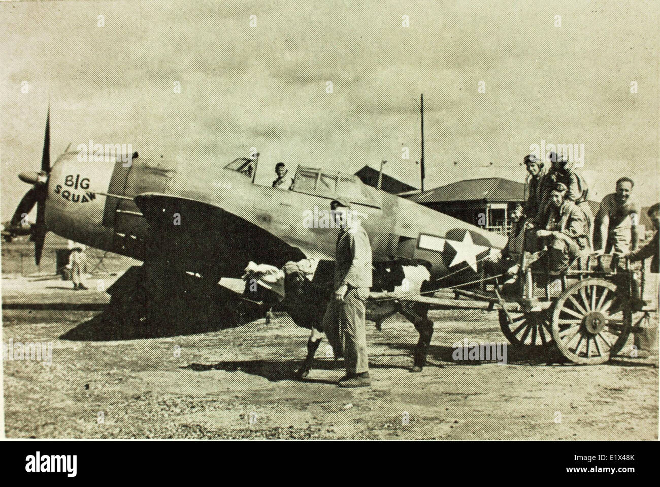 The 318th Fighter Group flew the P-47 Thunderbolt from 1939 to 1945 ...
