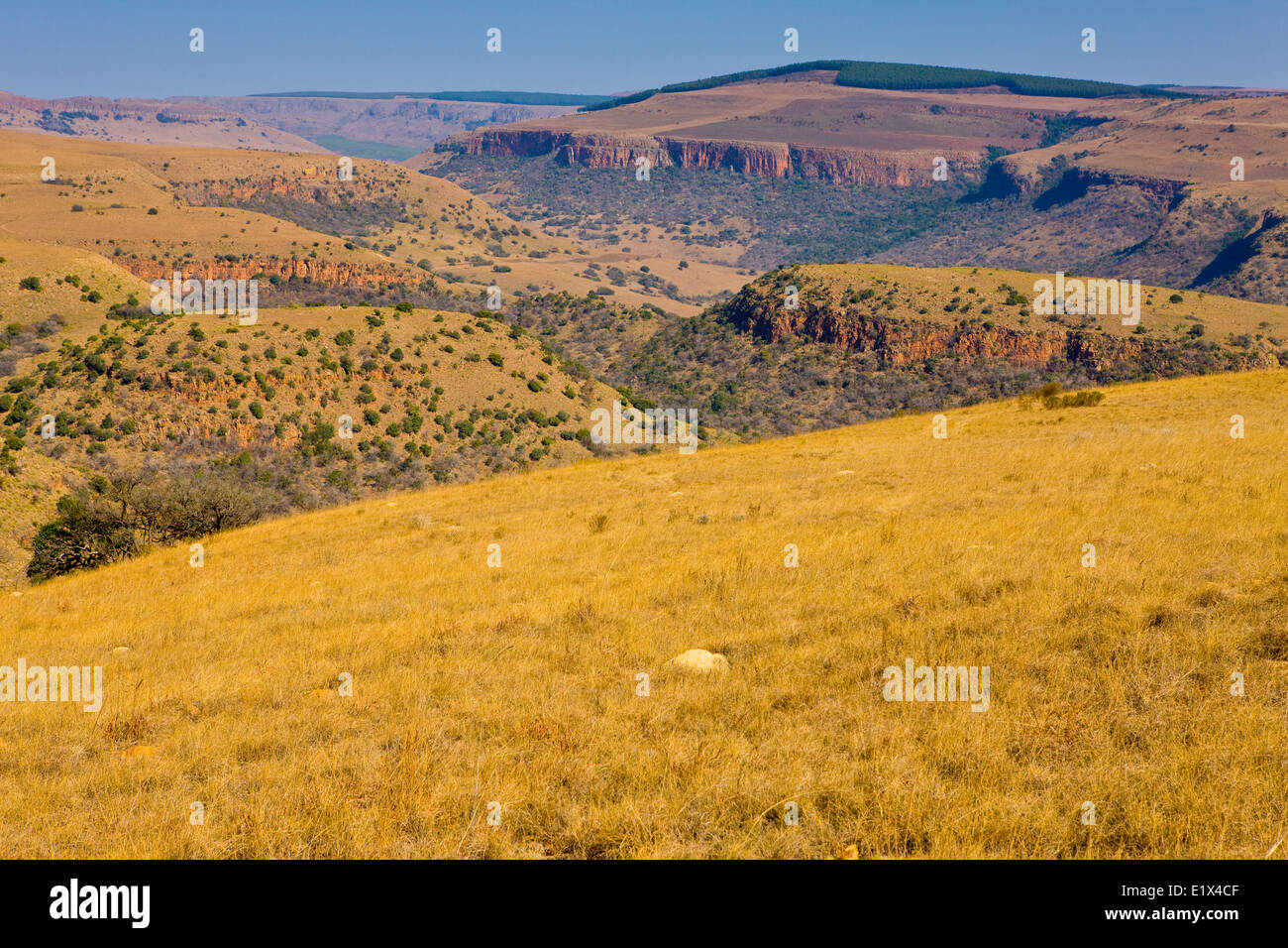 Canyon from the road from Lydenburg ( toward Sabie ) to Long Tom Pass ...