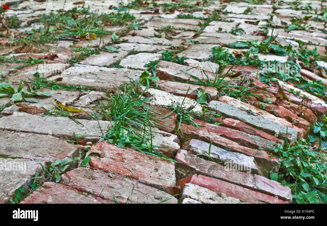 Sidewalk terrace hi-res stock photography and images - Alamy