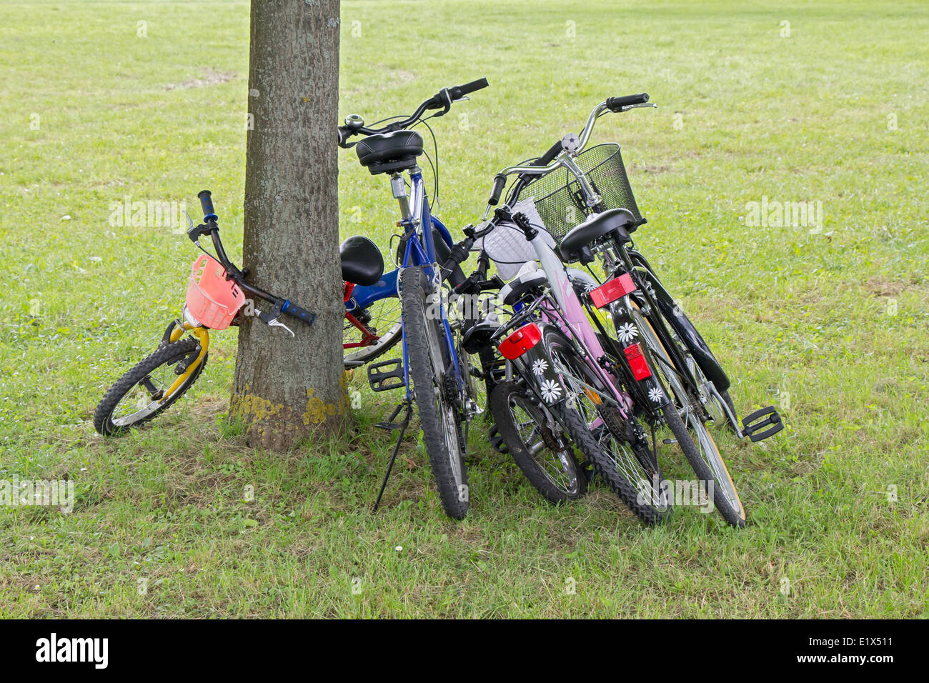 Bike leaning against tree hi-res stock photography and images - Alamy