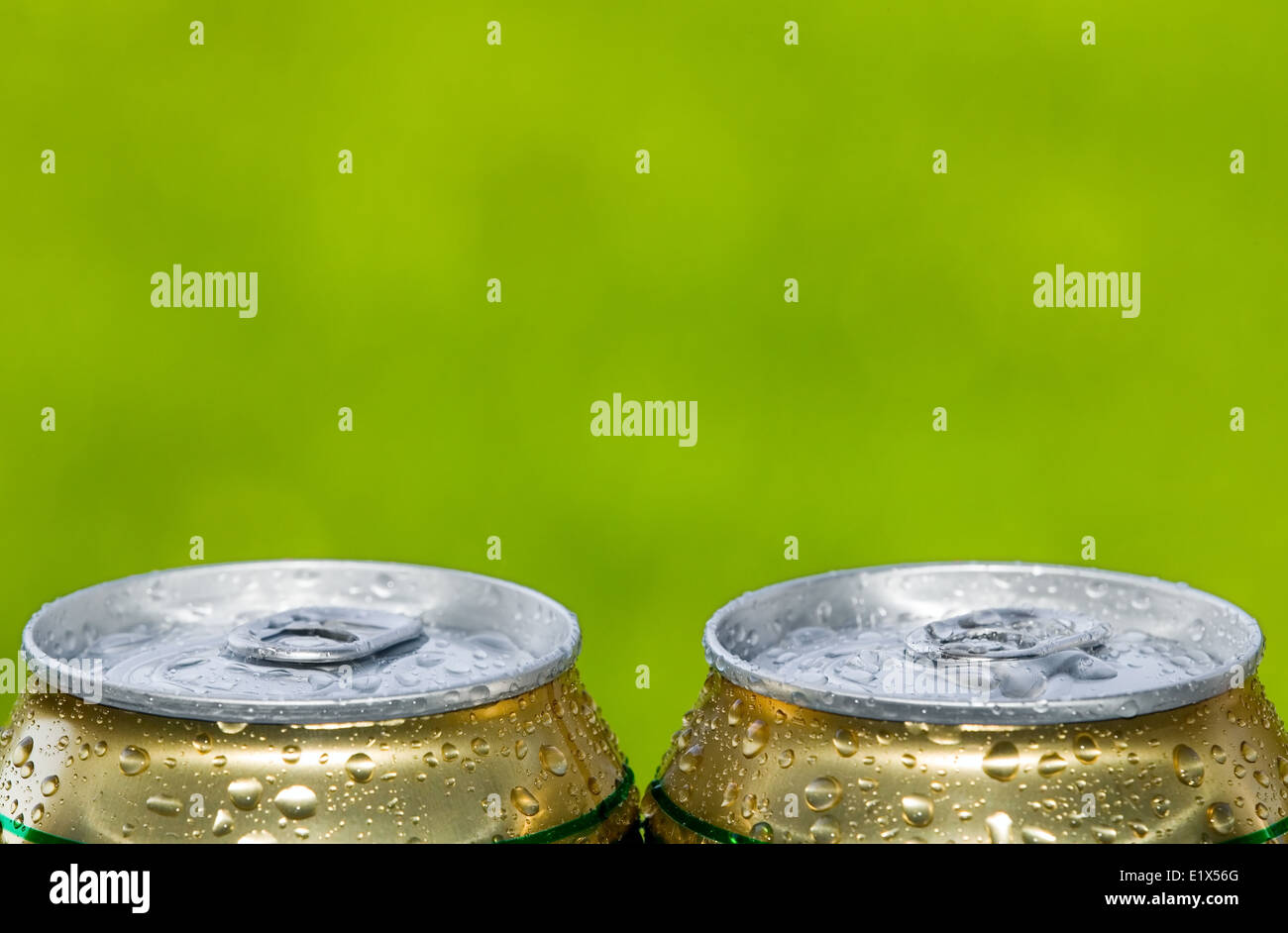 Metal beer can, unopened, alcohol and drink theme Stock Photo - Alamy