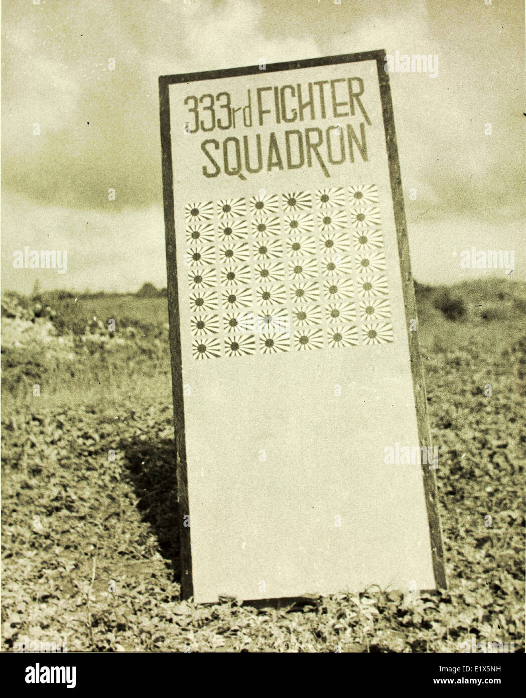 The 333rd Fighter Squadron, active from 1939 to 1945, was part of the ...