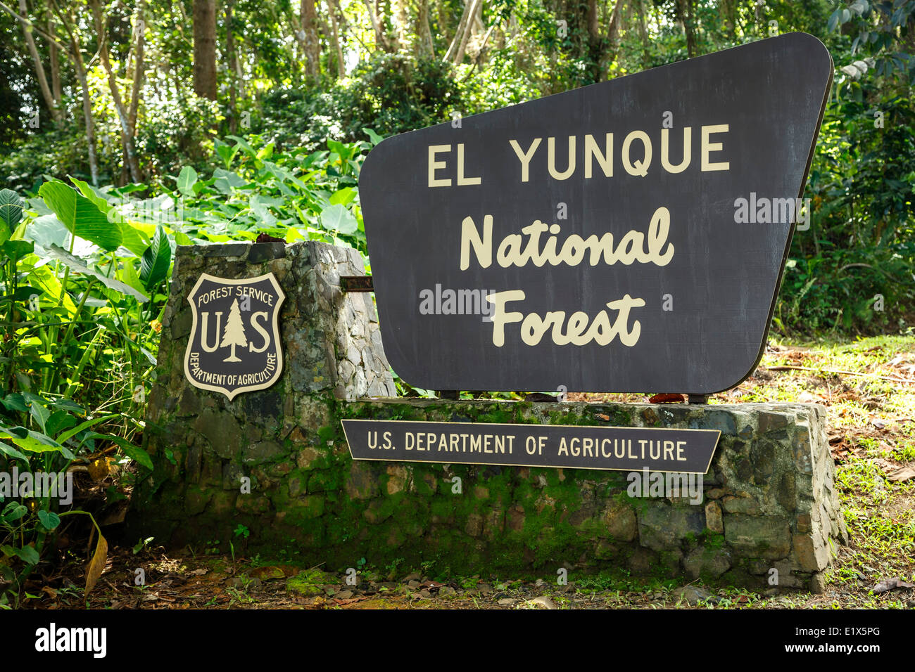 Entrance sign, Caribbean National Forest (El Yunque Rain Forest ...