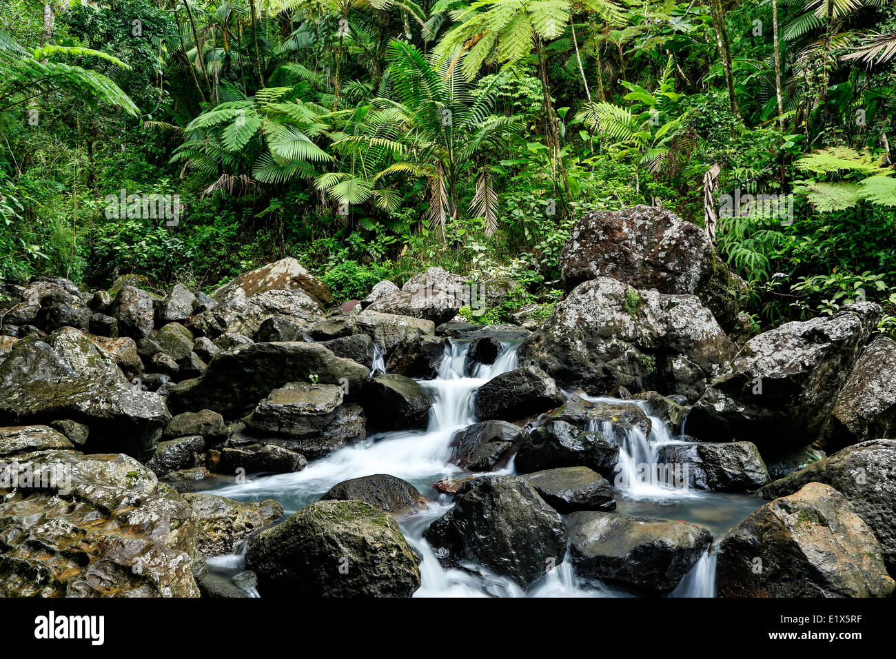 Waterfalls and tropical vegetation, Caribbean National Forest (El ...