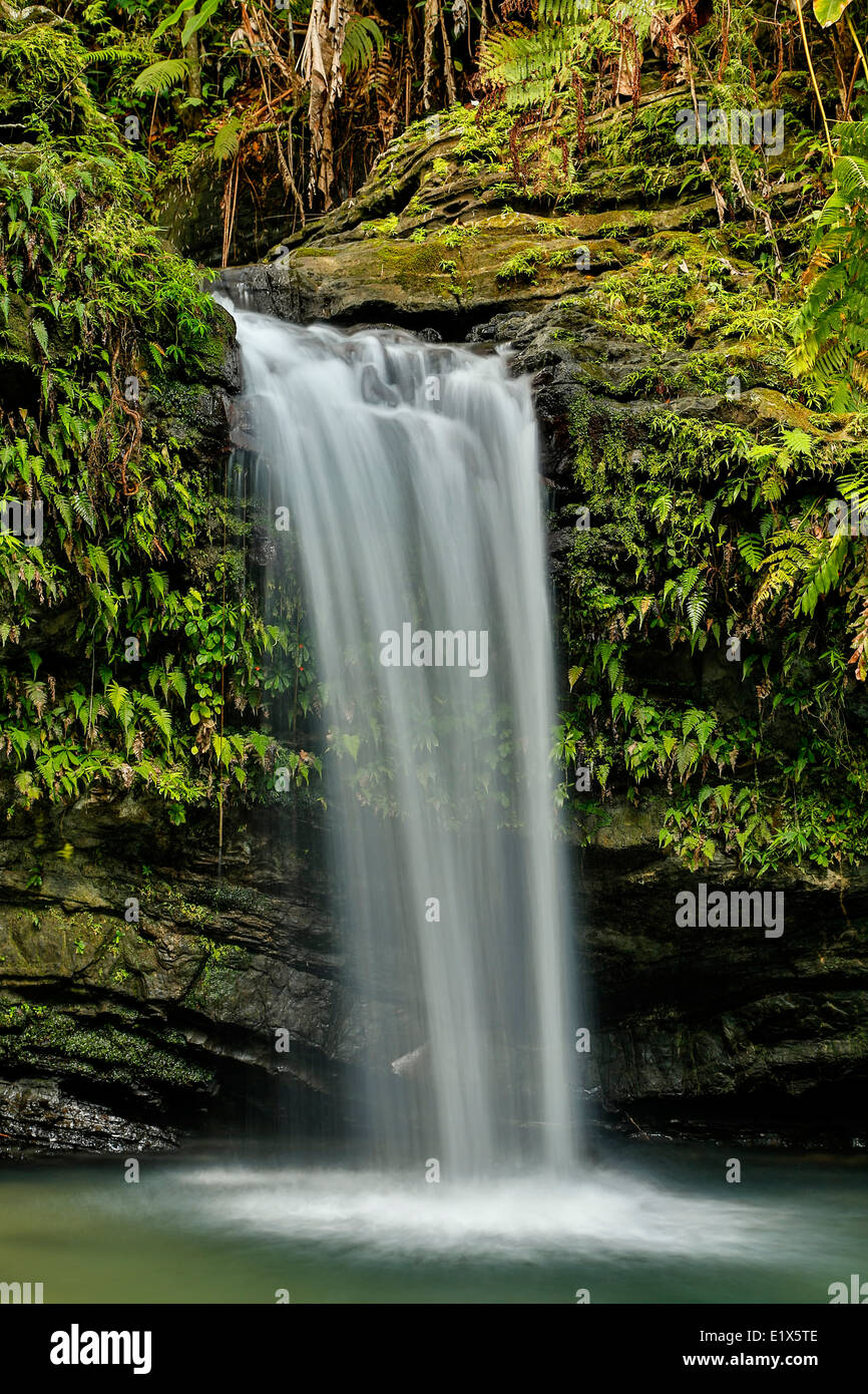 Waterfall puerto rico el yunque hi-res stock photography and images - Alamy