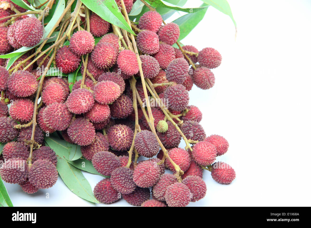 bunch of fresh lychees on white background Stock Photo - Alamy
