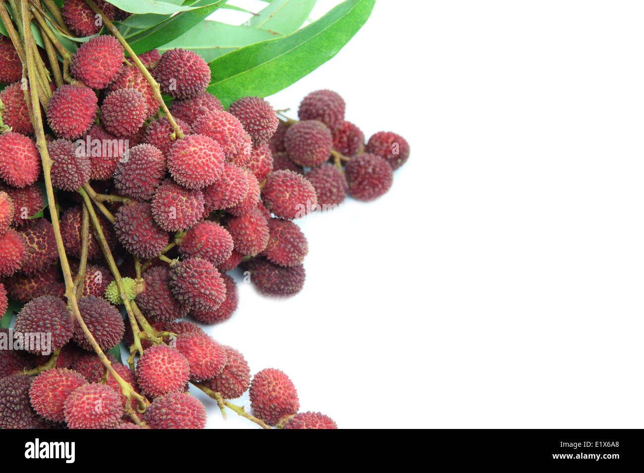 bunch of fresh lychees on white background Stock Photo - Alamy
