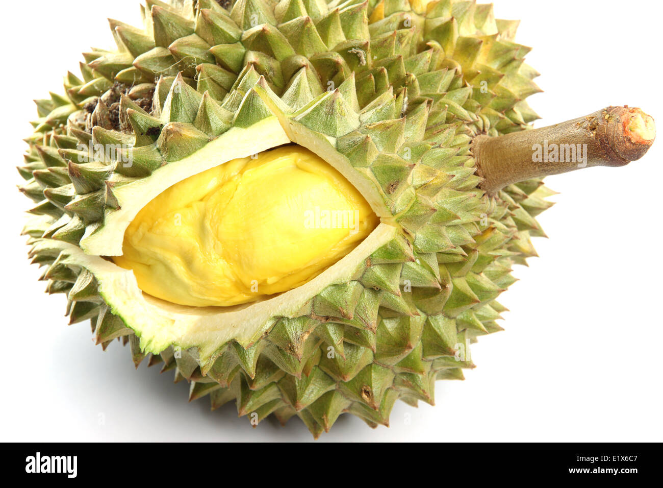 ripe durian isolated on white background Stock Photo - Alamy