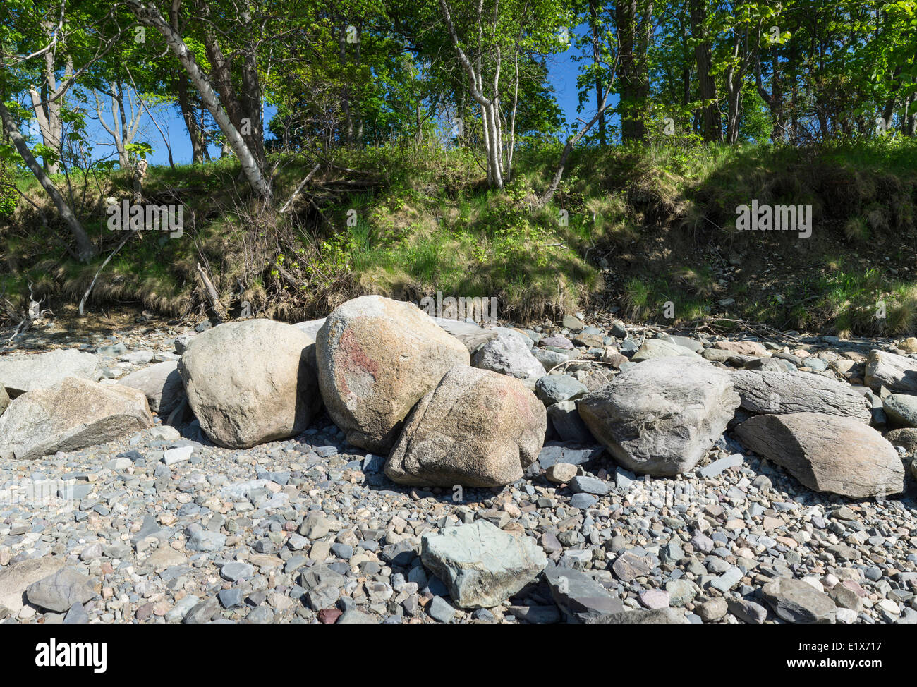 Rocks + Trees Stock Photo - Alamy