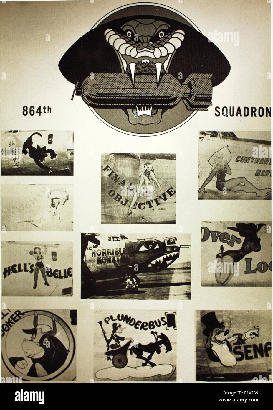 The 494th Bomb Group served during World War II from 1939 to 1945 ...