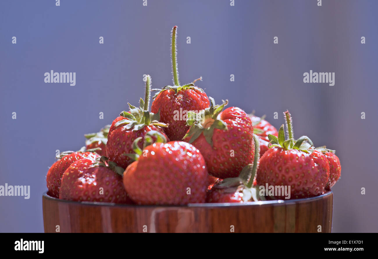 Polish strawberries hi-res stock photography and images - Alamy