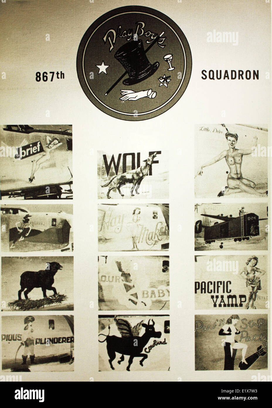 The 494th Bomb Group was a key unit of the U.S. Army Air Forces during ...