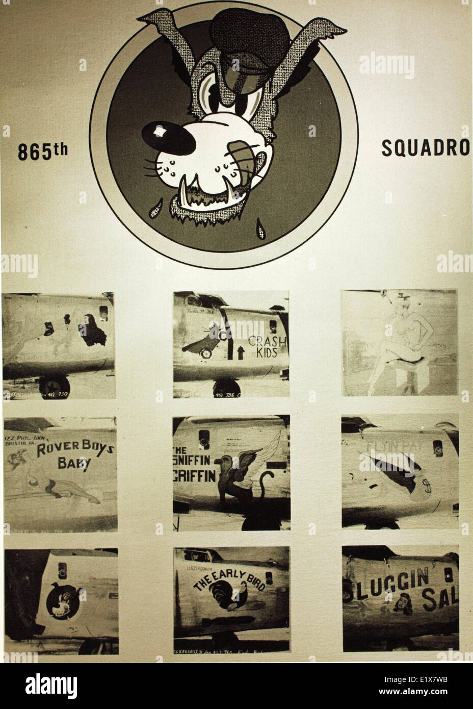 494thbombgroup Stock Photos & 494thbombgroup Stock Images - Alamy