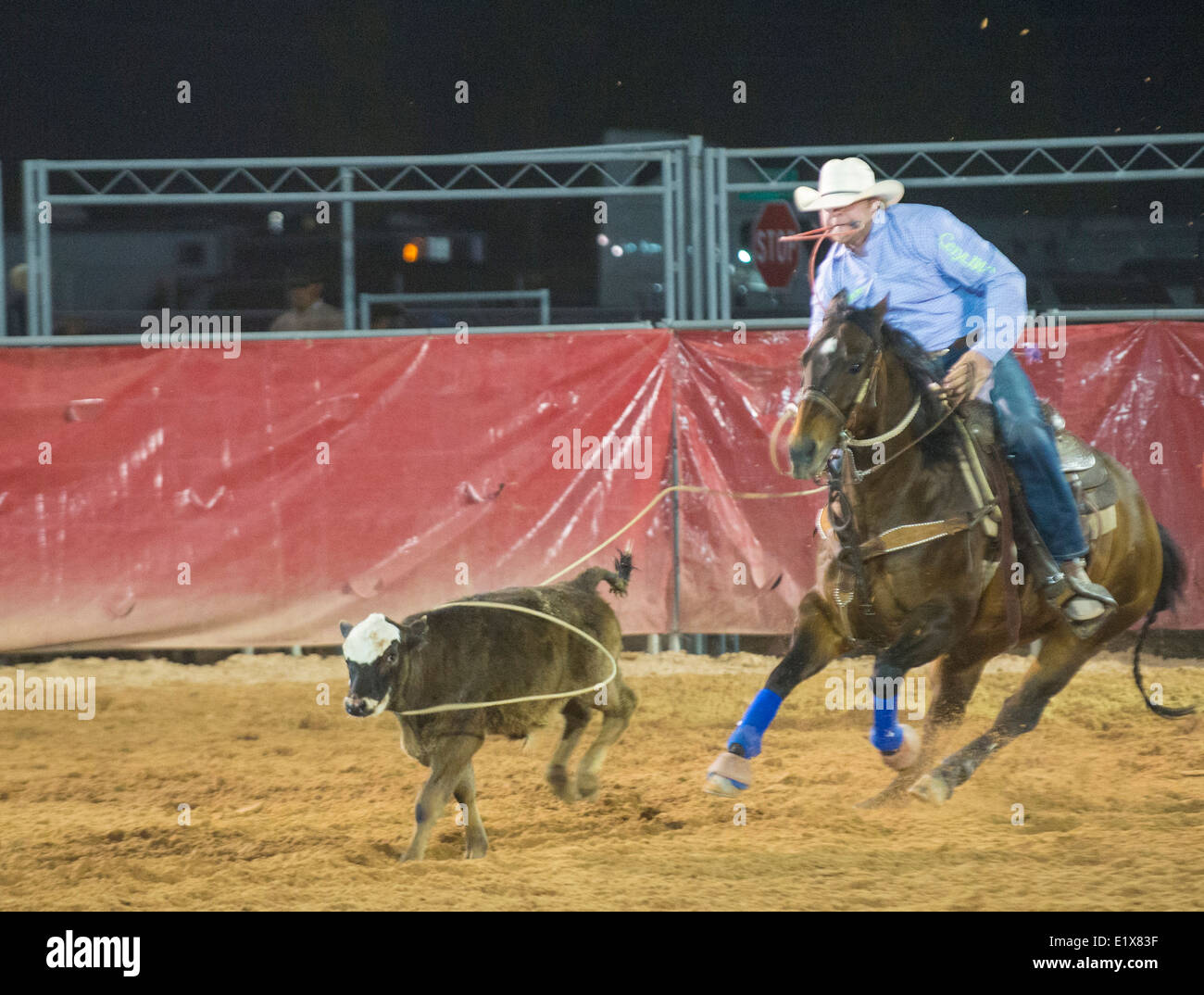 Cowboy roping horse hi-res stock photography and images - Alamy