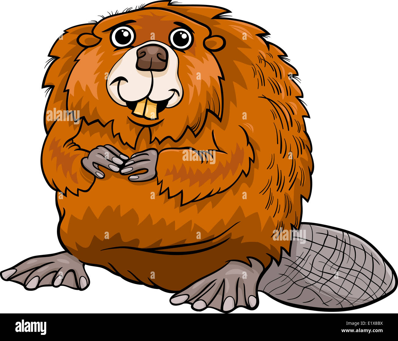 Bieber Animal Drawing