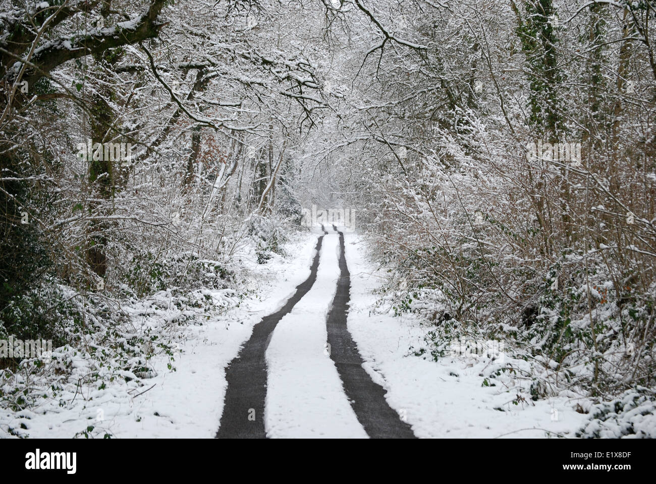 Somerset, Windwhistle Snow Stock Photo - Alamy