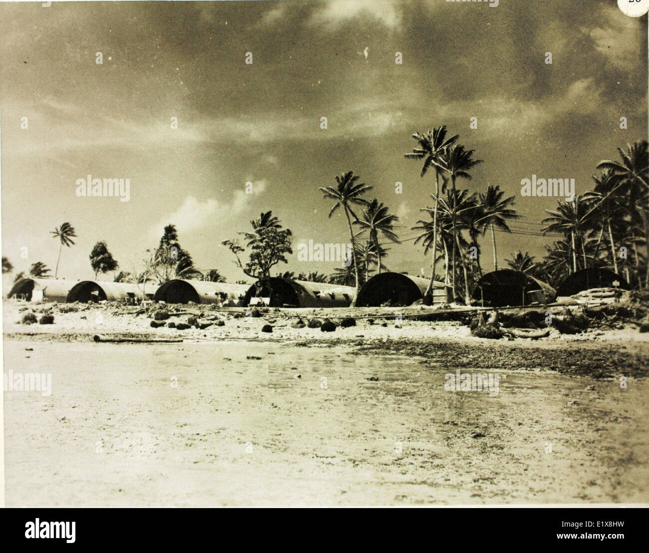 VP-24, a U.S. Navy squadron active during World War II, operated the ...