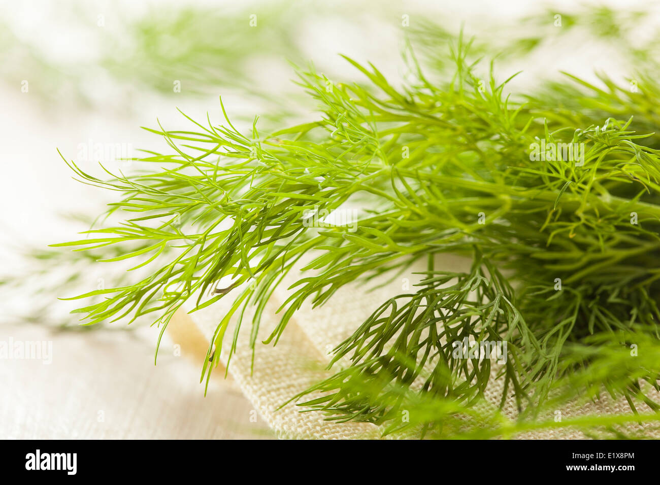 Fresh dill herb hi-res stock photography and images - Alamy