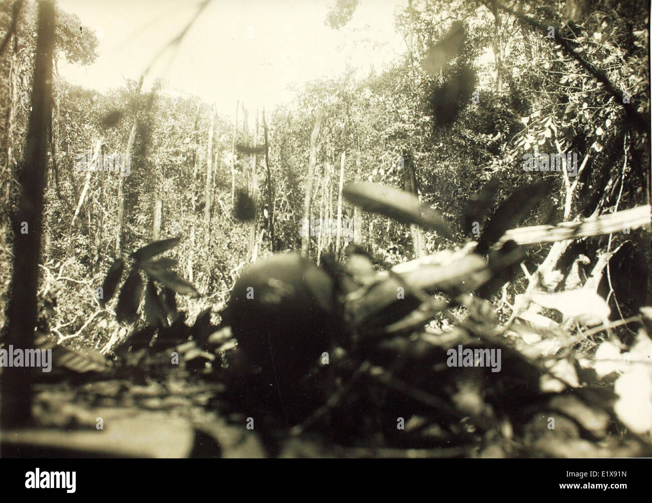This reference highlights aircraft crashes during World War II (1941 ...