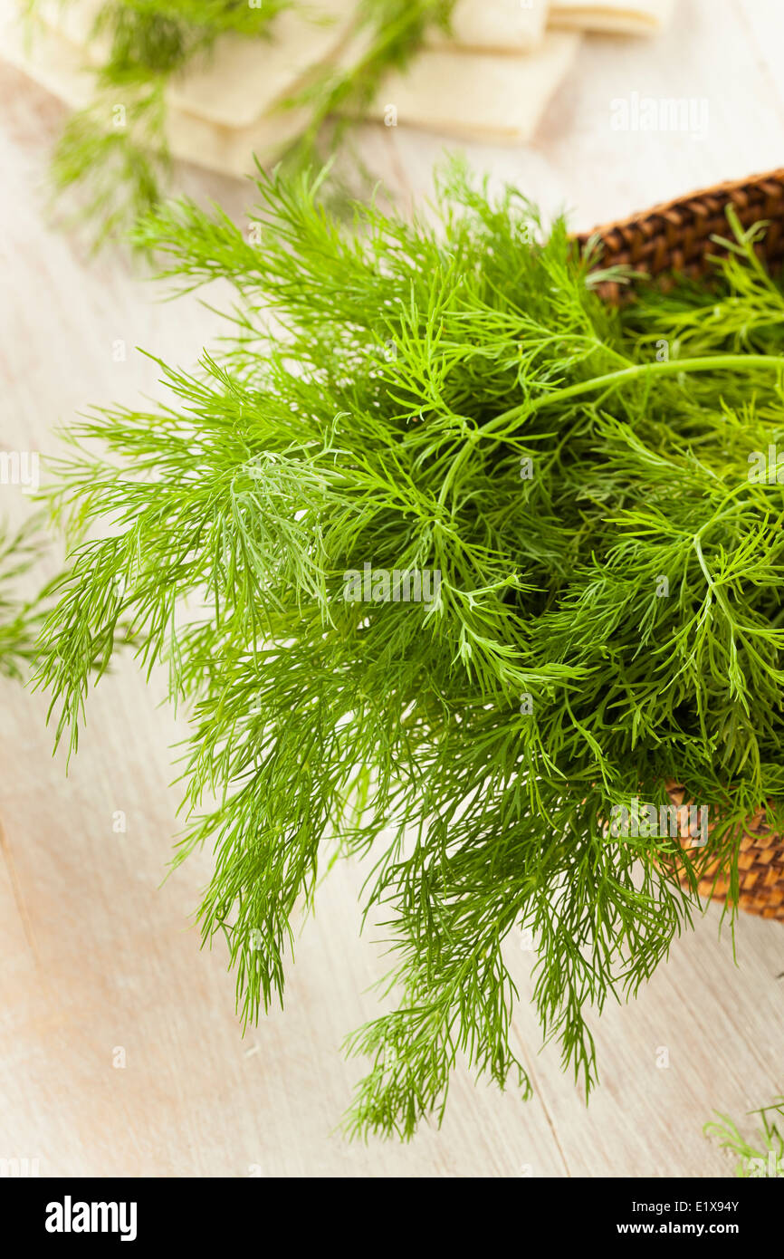 Fresh dill herb hi-res stock photography and images - Alamy