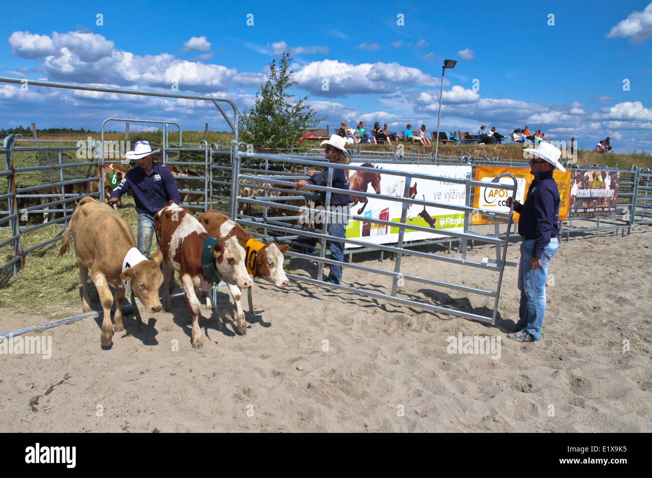 Western cowboys hi-res stock photography and images - Alamy