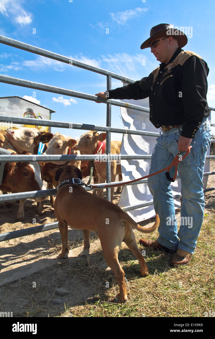 Dog cowboy horse ride hi-res stock photography and images - Alamy