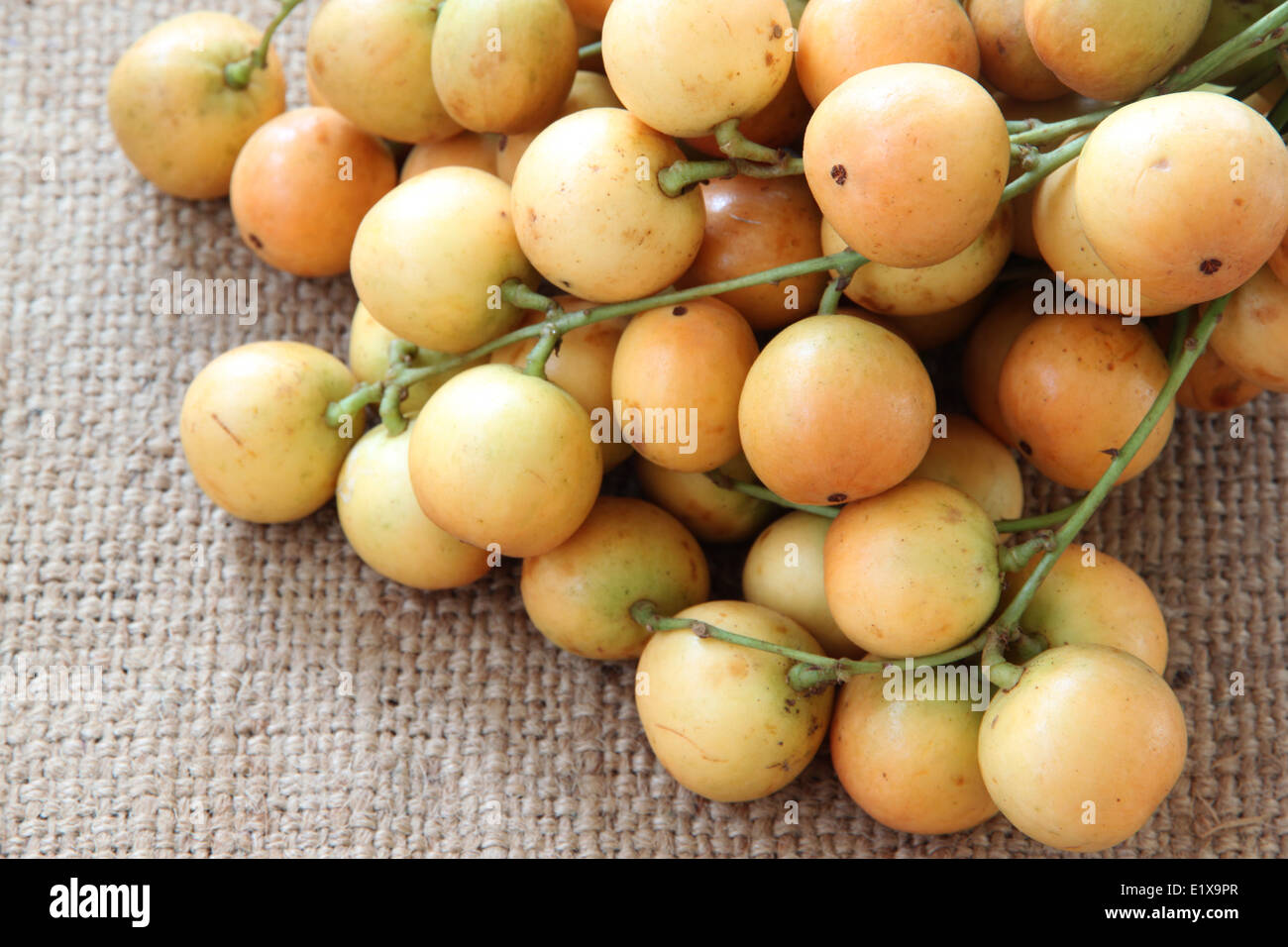 Baccaurea ramiflora or burmese grapes on sackcloth of background Stock ...