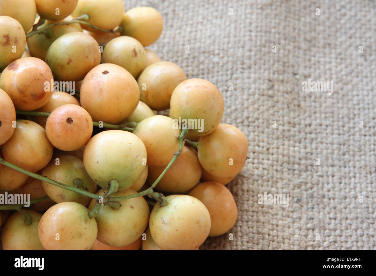 Baccaurea ramiflora or burmese grapes on sackcloth of background Stock ...