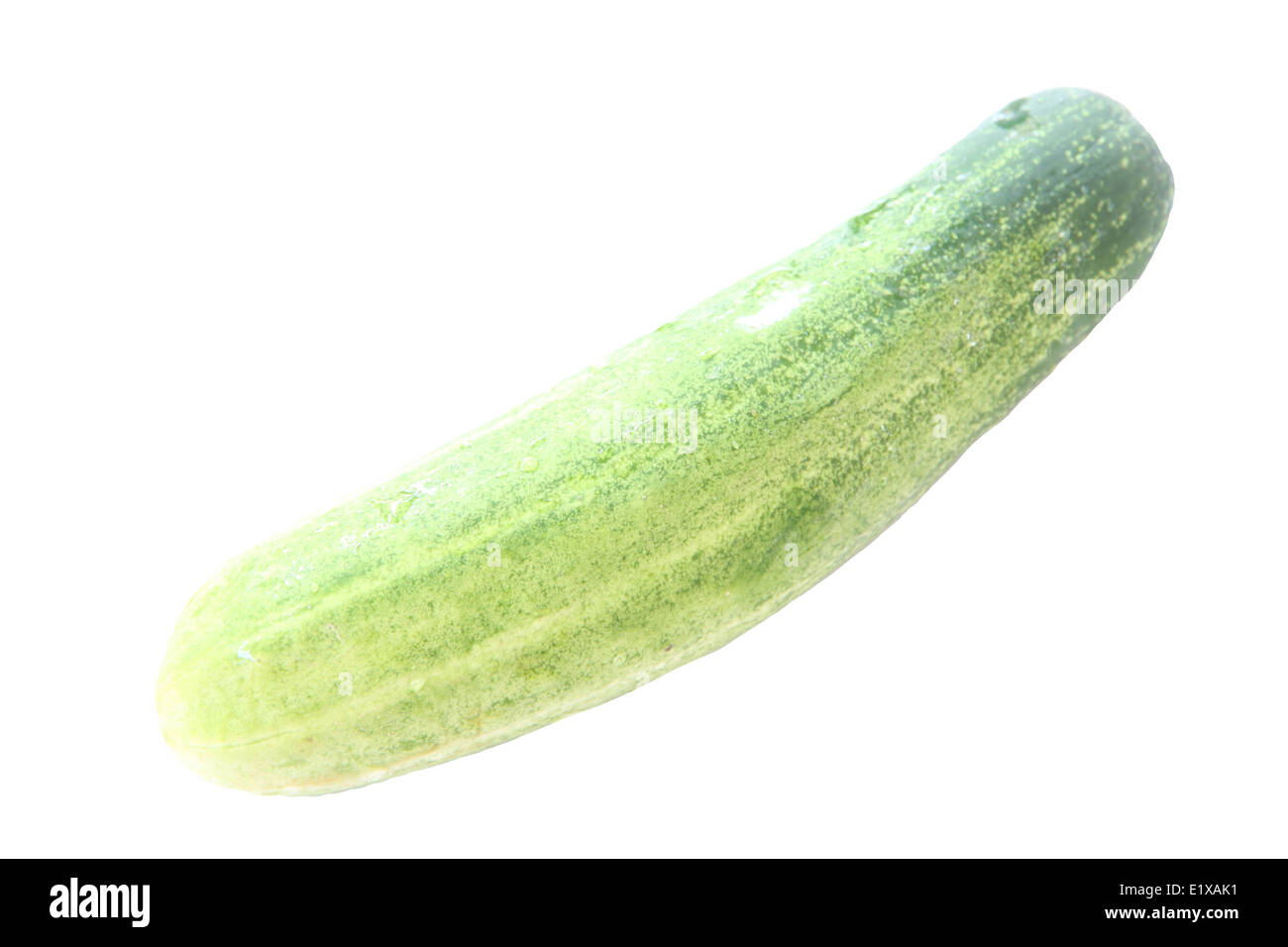 Cucumber isolated on white background Stock Photo - Alamy