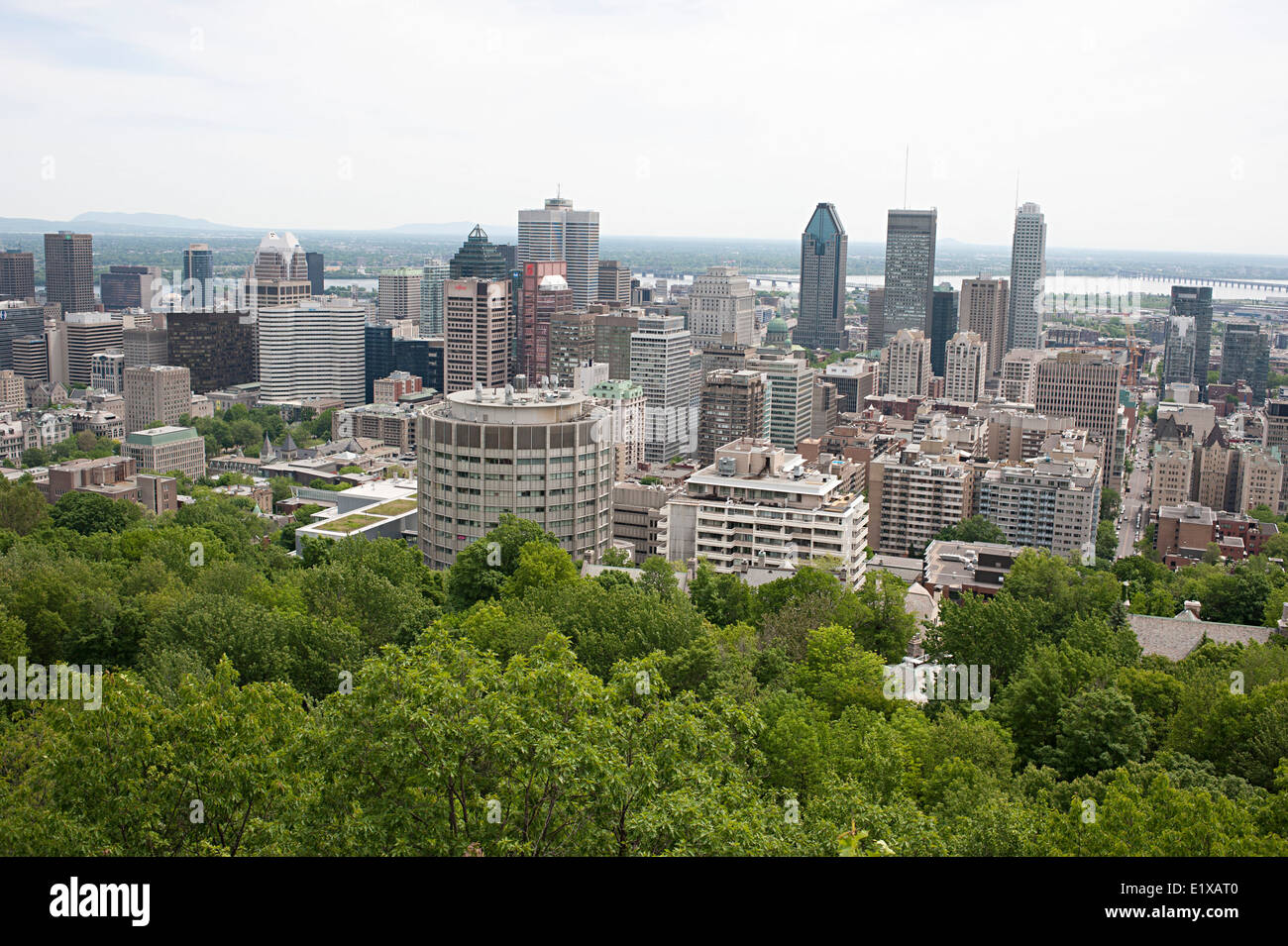 Mount Royal Montreal Lookout