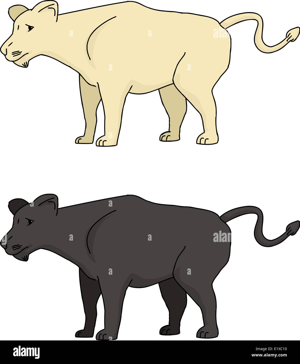 Wild cats cartoon over isolated white background Stock Photo - Alamy