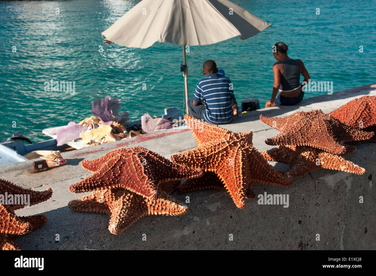 Starfish in water hi-res stock photography and images - Alamy