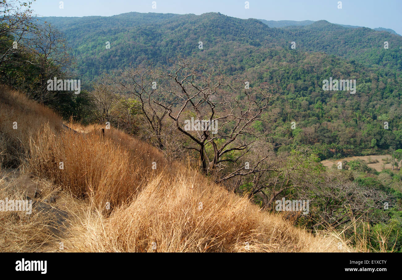 Tropical Mountain and Valleys Landscape View during Summer at Goa India ...