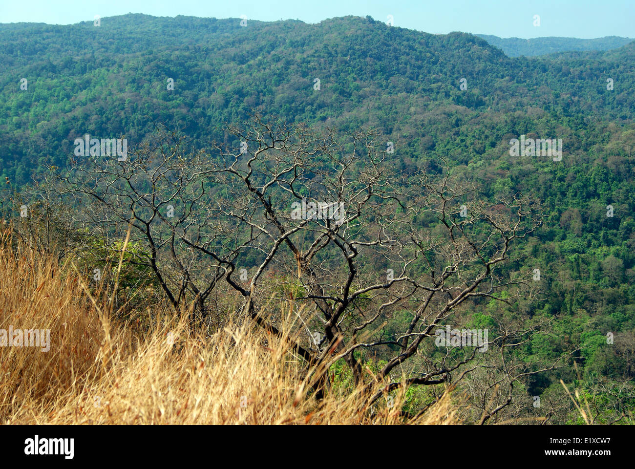 Tropical Mountain and Valleys Landscape View during Summer at Goa India ...