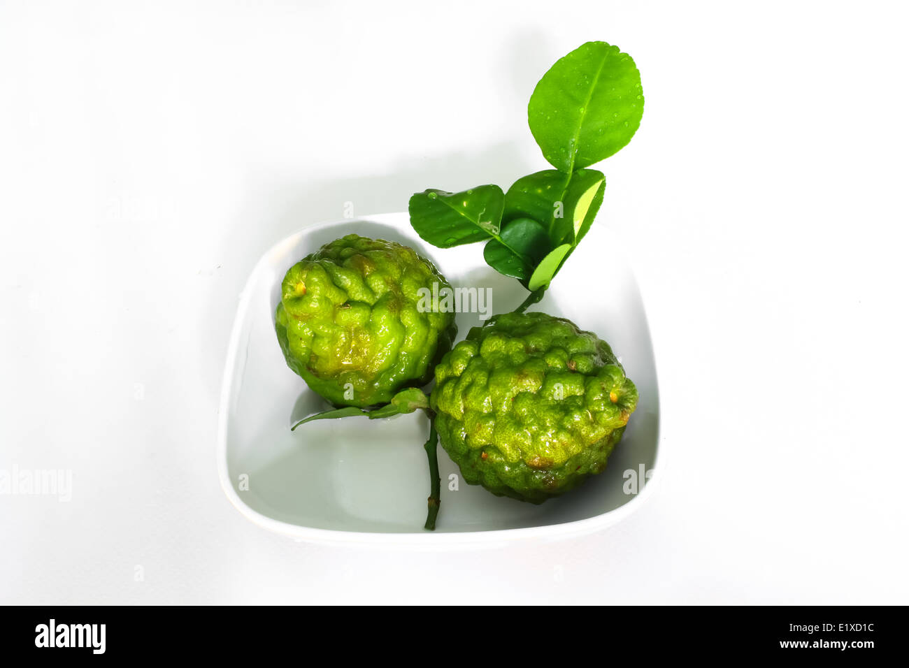 Bergamot herb for cooking Stock Photo - Alamy