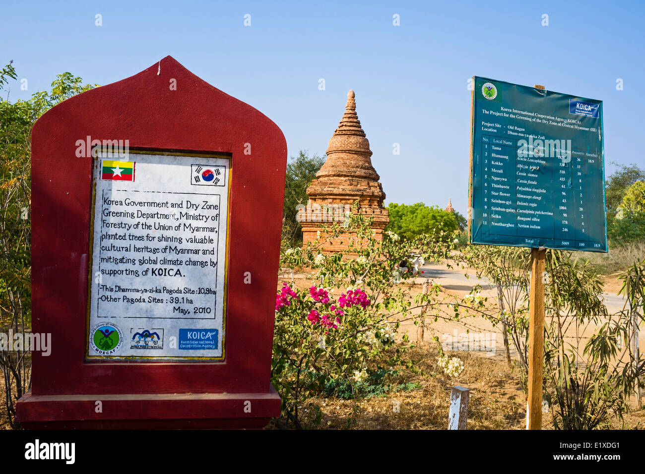 Memorial stone to reafforestation project, Bagan, Myanmar, Asia Stock ...