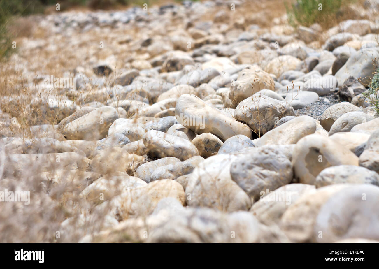 Beautiful photos of stones in the desert on the shores of the Dead Sea ...