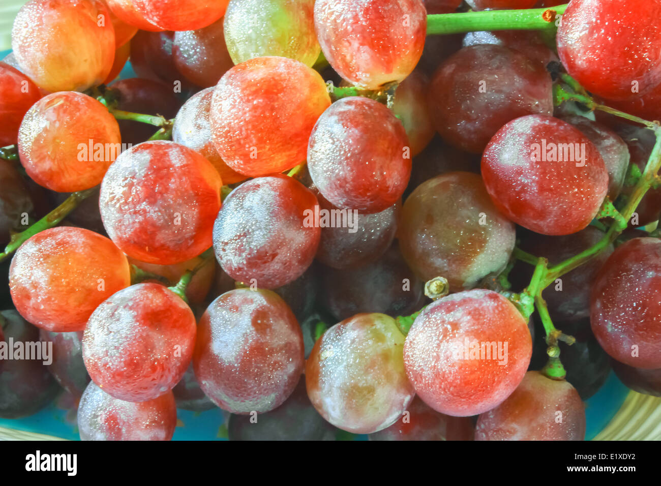 Beauty of natu hi-res stock photography and images - Alamy