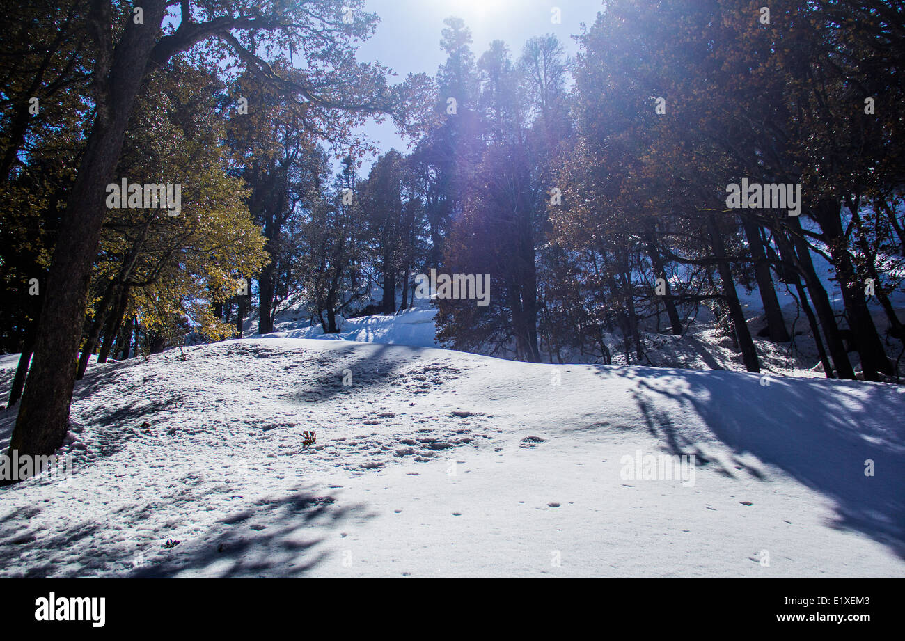 Heavenly light on snow in Himachal Stock Photo - Alamy